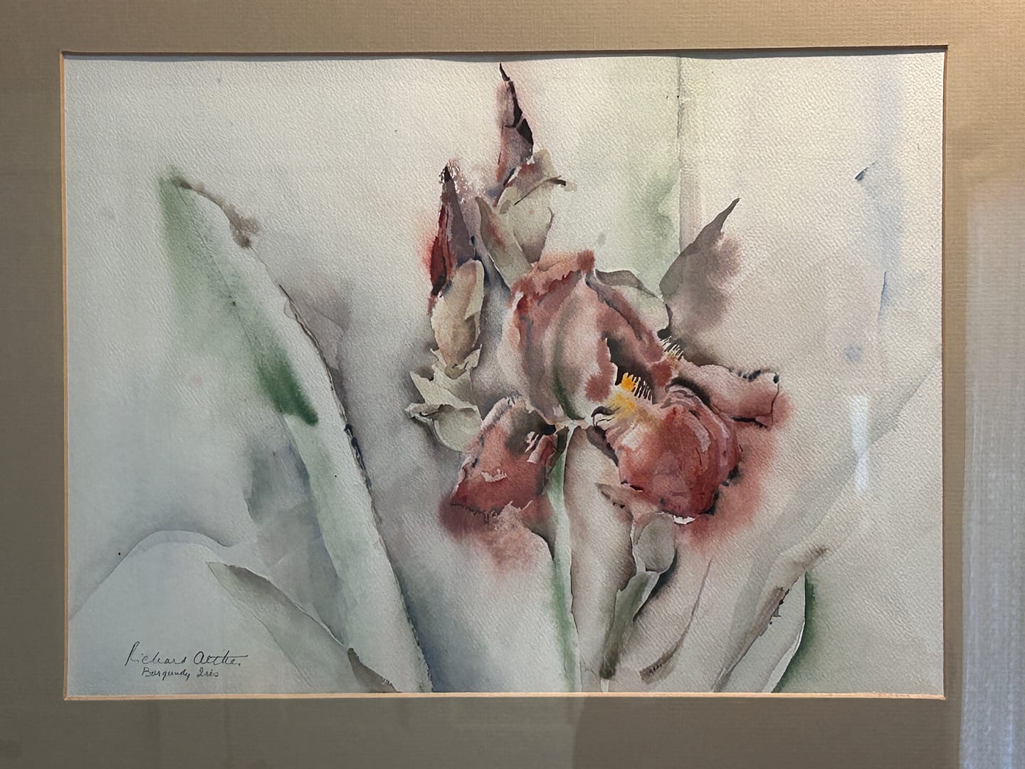 Watercolor, Burgundy Iris, by Richard Alther (American, 20th century ...
