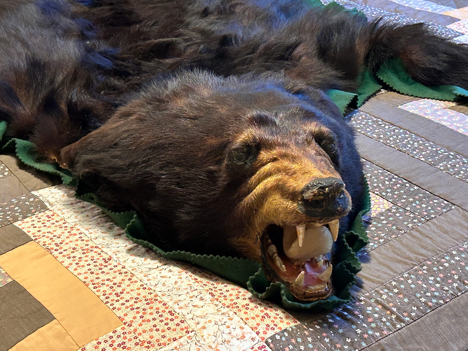 Vintage Full Bear Bear Skin Hide Rug Tapestry with Head - Hunt Estate Sales